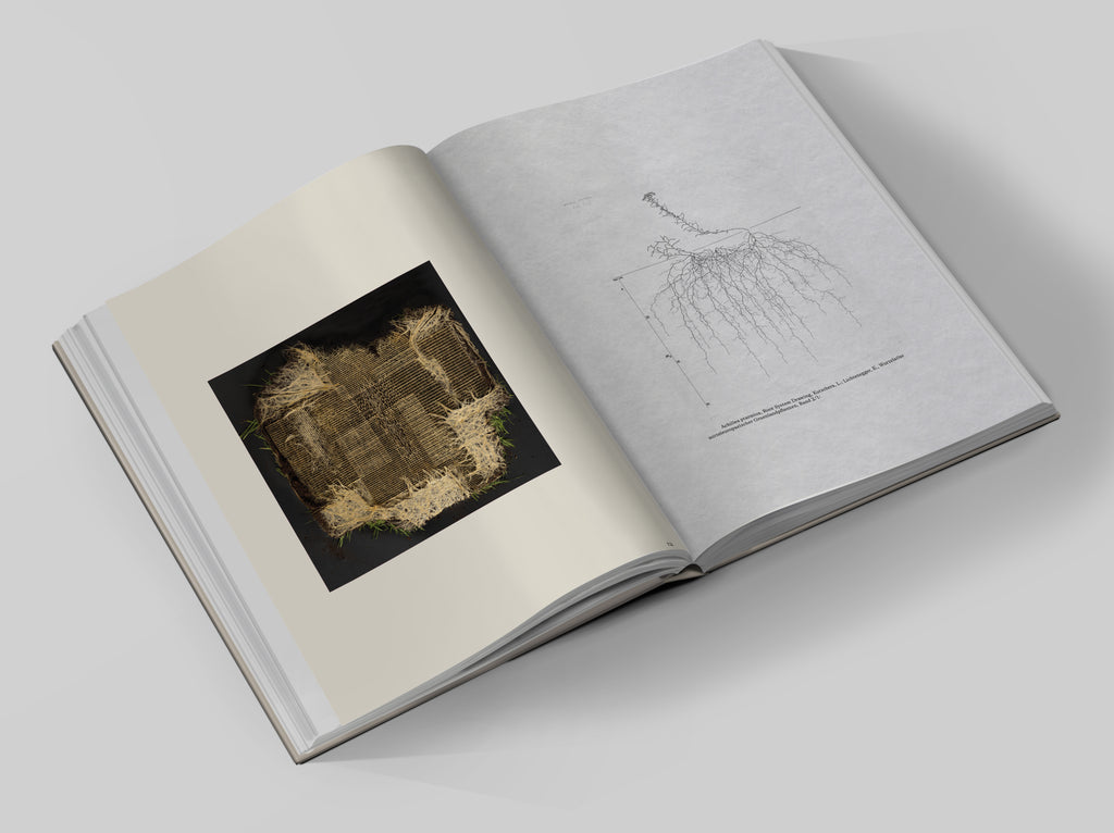 Interwoven. Diana Scherer – Jap Sam Books